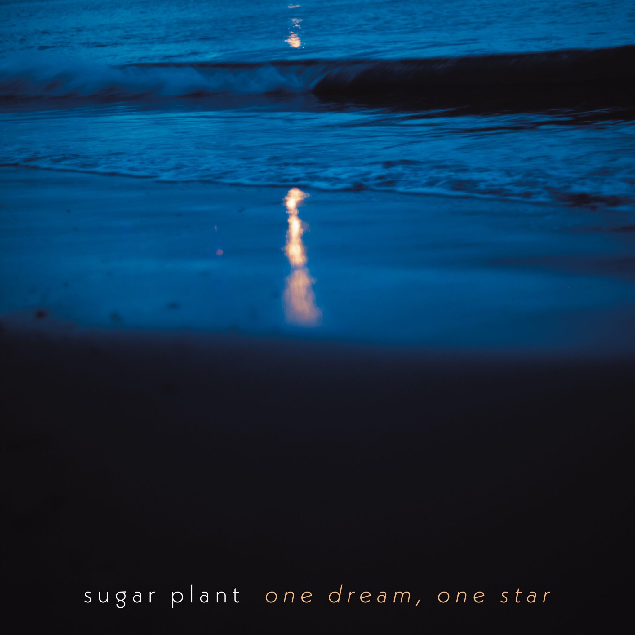 sugar plant’s New Album Shows Why Japanese Dream Pop Still Resonates ...